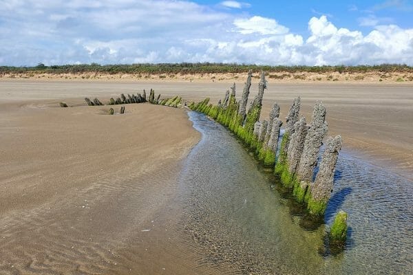 Things to Do in Llanelli 2026: Beaches, Rugby, Wildlife and Culture