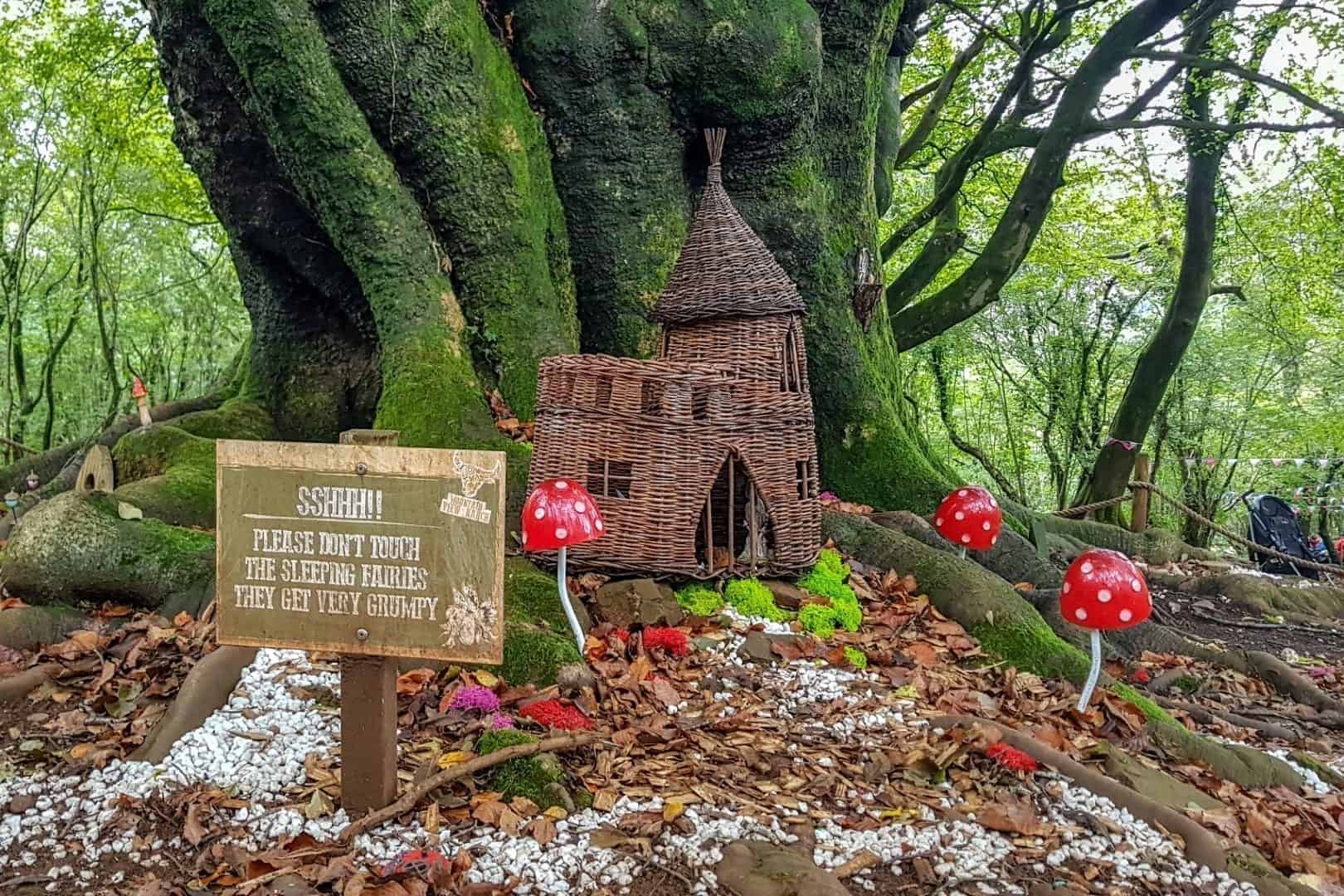 Fun Things to Do in Wales for Teenagers, Kids & Toddlers