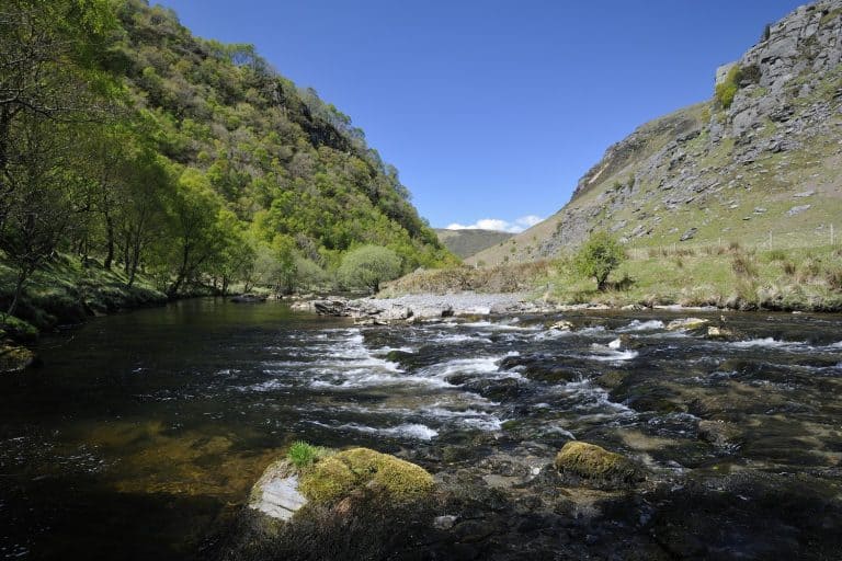 Wildlife to Look Out For in the Tywi Valley