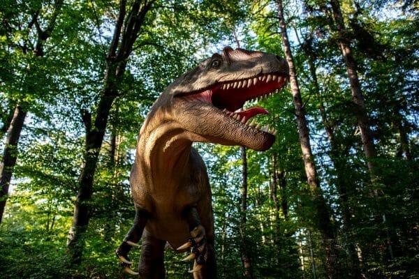 Theme Parks Wales 2026: Zip World, Oakwood & More